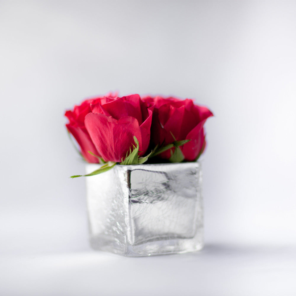 Prix Fixe - Bright & Bold – Pops of Plum